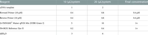 Real Time Pcr Reaction System Download Scientific Diagram
