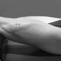 Schematic Of The Components Used For Data Acquisition Of SEMG Signals Download Scientific