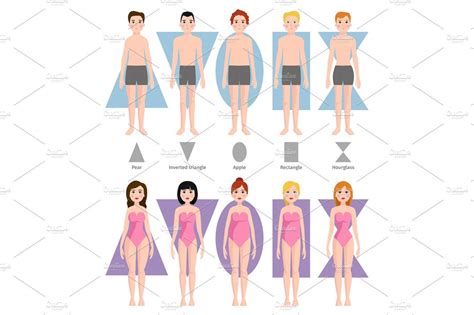 What Are The Different Types Of Body Shapes Free Math Worksheet Printable