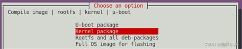 【orangepi Zero2的系统移植】嵌入式linux系统的组成、编译u Boot、编译内核、linux根文件系统xip设备 Csdn博客