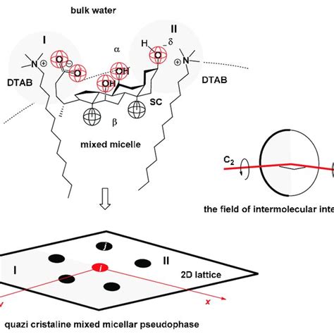 A Binary Mixed Micelle Is Formed By The Classic Cationic Surfactant