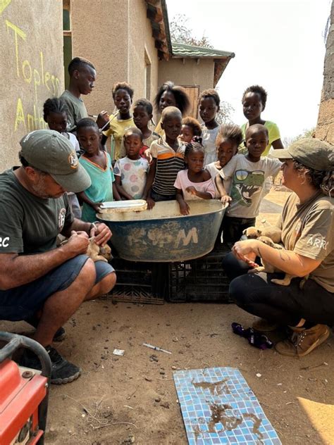 Animal Treatment Fund Globalgiving