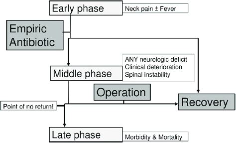 Proposed Algorithm For Cervical Spine Infection Treatment There Should