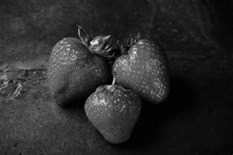 Tô Màu Ảnh Đen Trắng Miễn Phí Removephotos