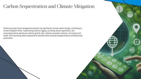 Canopy Forest Tree Cover Ecological Importance Ppt Slides St Ai Ppt Example