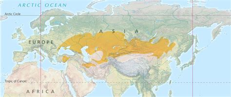 Steppes In Eurasia Mapporn