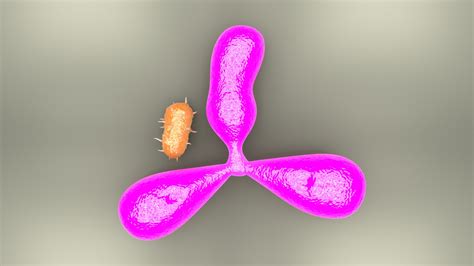 Antigen And Bacteria 3d Turbosquid 2209596