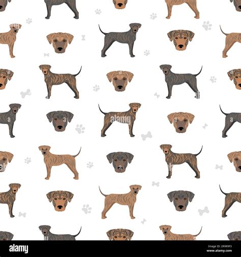 Treeing Tennessee Brindle Seamless Pattern Different Poses Coat Colors Set Vector