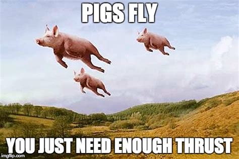 Pigs Fly Imgflip