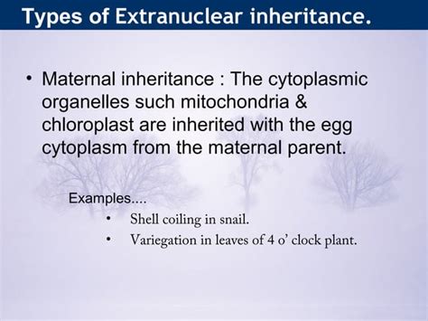 Extranuclear Inheritance