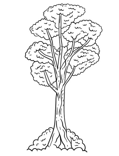 Planse De Colorat Cu Copaci