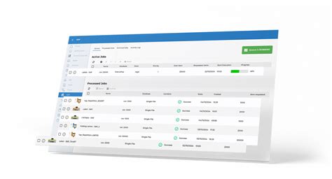 Vdp Execute Hybrid Software