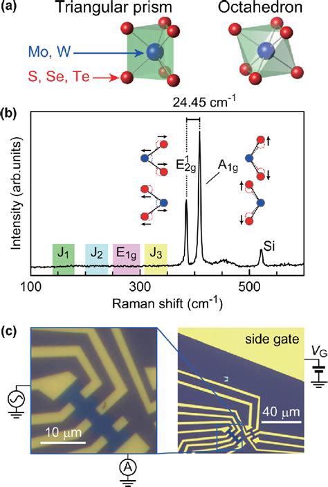 A Schematics Of The Triangular Prism And Octahedron Arrangements Of Download Scientific
