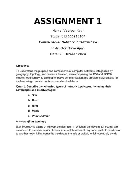 assignment1 network infrastructure 3 final pdf internet protocol
