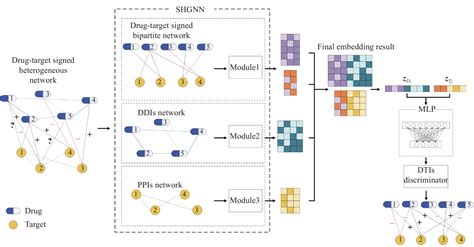 Drug Target Interactions Prediction Based On Signed Heterogeneous Graph Neural Networks