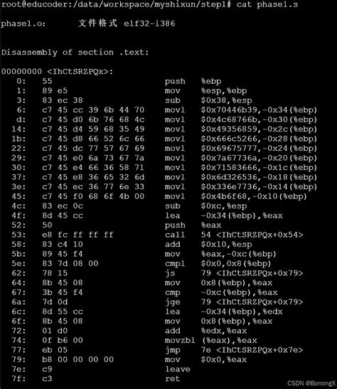 【计算机系统基础】程序指令与elf代码节 csdn博客