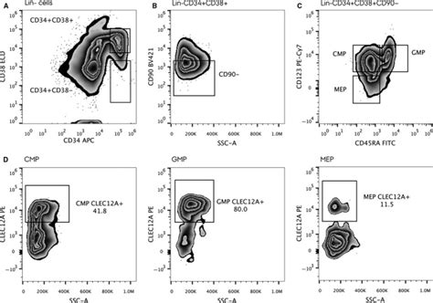 Mapping The Clec12a Expression On Myeloid Progenitors In Normal Bone