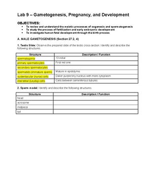 Lab The Reproductive System Lab The Reproductive System APR Lab Code NS