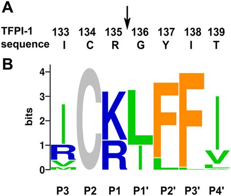 Development Of The Masp 3 Specific Inhibitor Tfmi 3 A The Tfpi 1 Download Scientific
