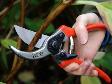 A Guide To Buying Secateurs Quality Garden Supplies