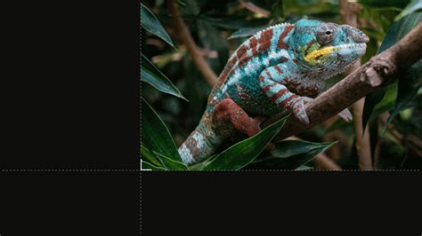Tailwindcss Tip How To Prevent Layout Shifts With Aspect Ratio