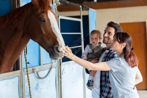 말과 함께 사진을 찍는 부모와 자식 사진 무료 다운로드 Lovepik