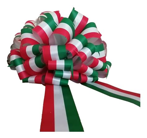 Moño Gigante Para Auto Casa O Inauguración Listón Tricolor Meses Sin