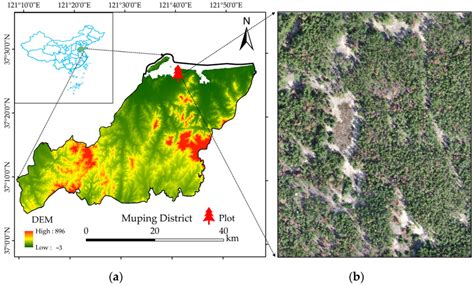 Canopy Spectral Reflectance At Each Infection Stage Download Scientific Diagram