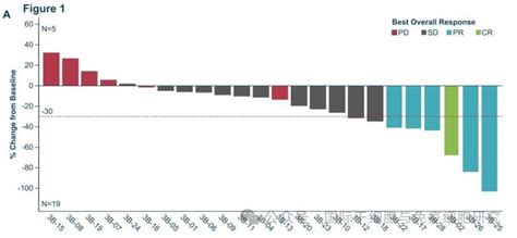 Til细胞疗法治疗肺癌 晚期患者获得完全缓解 全球肿瘤医生网