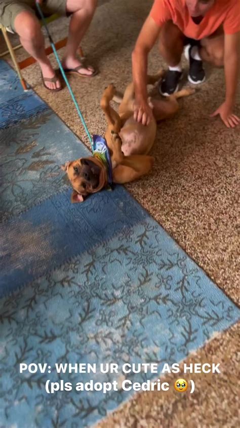 Alachua County Commission Meeting Todays Meeting Will Stream Live Here By Alachua County