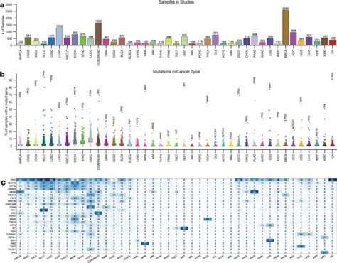 Mutational Landscape Of Cancer Driver Genes Across Human Cancers R Lungcancersupport