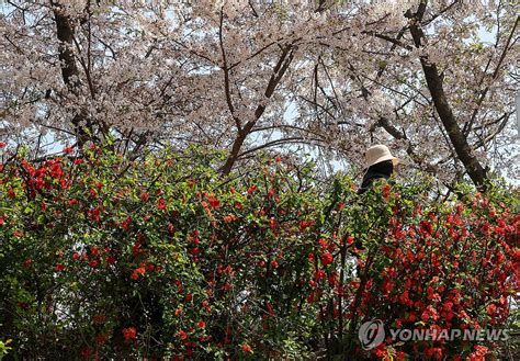 봄과 여름 사이 연합뉴스