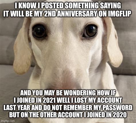 Homophobic Dog Memes Imgflip