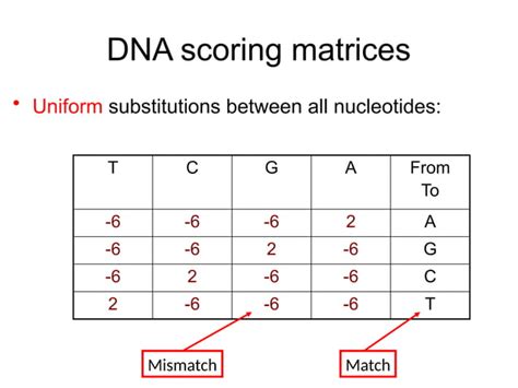 Pairwise Sequence Alignment Is Alignmentpptx