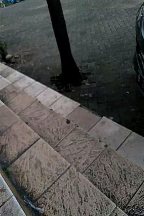 Watch Asdf Seka Sexkitteh Asian Porn Spankbang