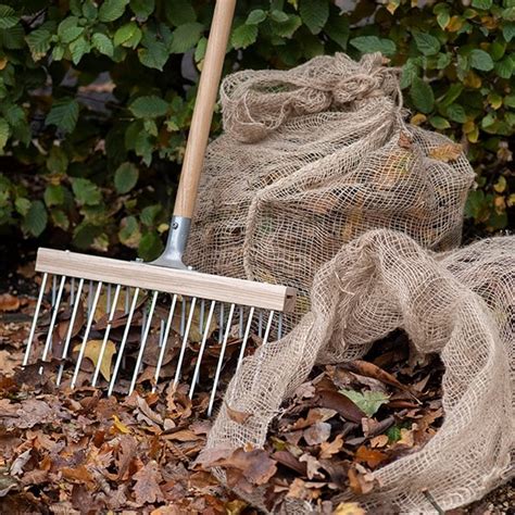 Buy Compostable Leaf Sack For Composting Leaves
