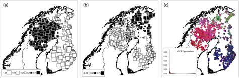 Spatial Principal Component Analysis Spca Of The Analyzed Male Brown Download Scientific