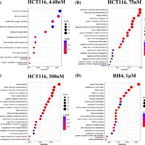 Downregulated Genes Are Broadly Enriched For The Cell Cycle Processes