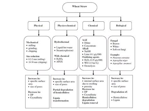 Production Of Bioethanol From Wheat Straw Pptx Agriculture Industries