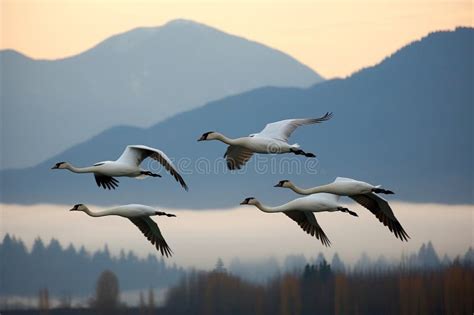 Ethereal Flight Beautiful Birds Gracefully Soaring Through The