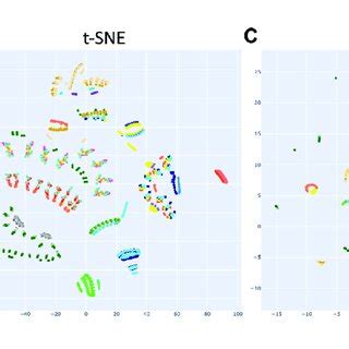 Comparison Of Dimensionality Reduction Techniques A PCA B Download Scientific Diagram