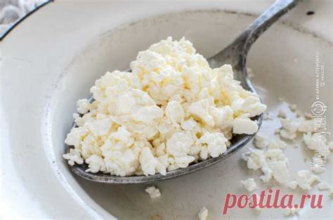 Домашний творог • Жизнь вкусная Кулинарный сайт Галины Артеменко П Жизнь вкусная Вкусная