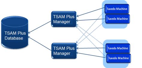 Introduction To Oracle Tsam Plus