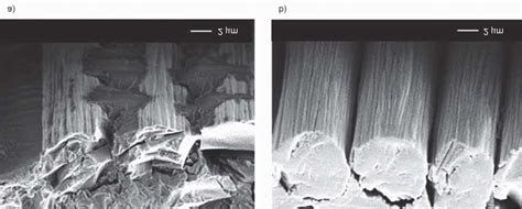 Fracture Surfaces Of Epoxy Cfrp And Acrylic Pmma Cfrp A Epoxy Cfrp Download Scientific