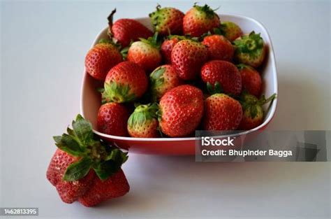 딸기 속 프라가리아 딸기는 그 특성 향기 밝은 붉은 색 육즙 질감 단맛으로 널리 평가됩니다 신선한 과일 인도 봄 시즌 0명에 대한 스톡 사진 및 기타 이미지 Istock