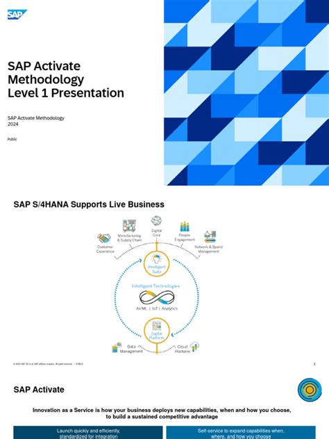 Level 1 Sap Activate Methodology New Pdf Cloud Computing Software Development Process