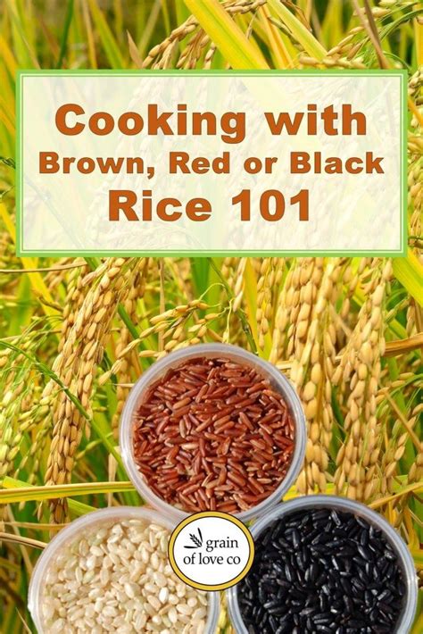Cooking With Brown Red Or Black Rice 101 Black Rice Brown Rice