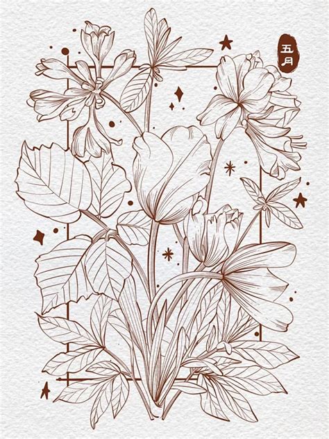 花卉线稿九宫格合集 第三弹 花瓣网