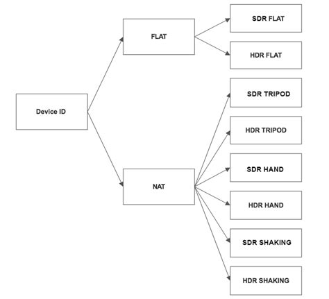 The Dataset Structure Download Scientific Diagram