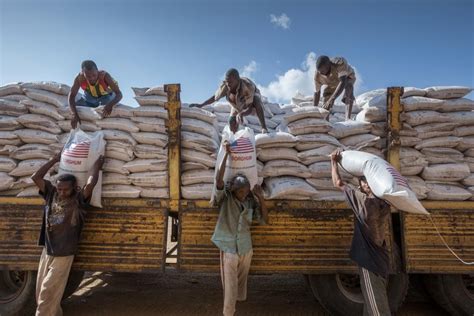 The Future Of Humanitarian Aid Peace House